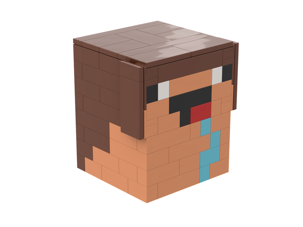 Minecraft Steve Hat